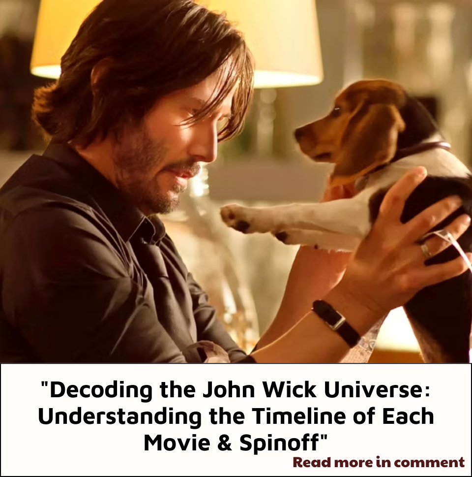 "Decoding the John Wick Universe: Understanding the Timeline of Each ...