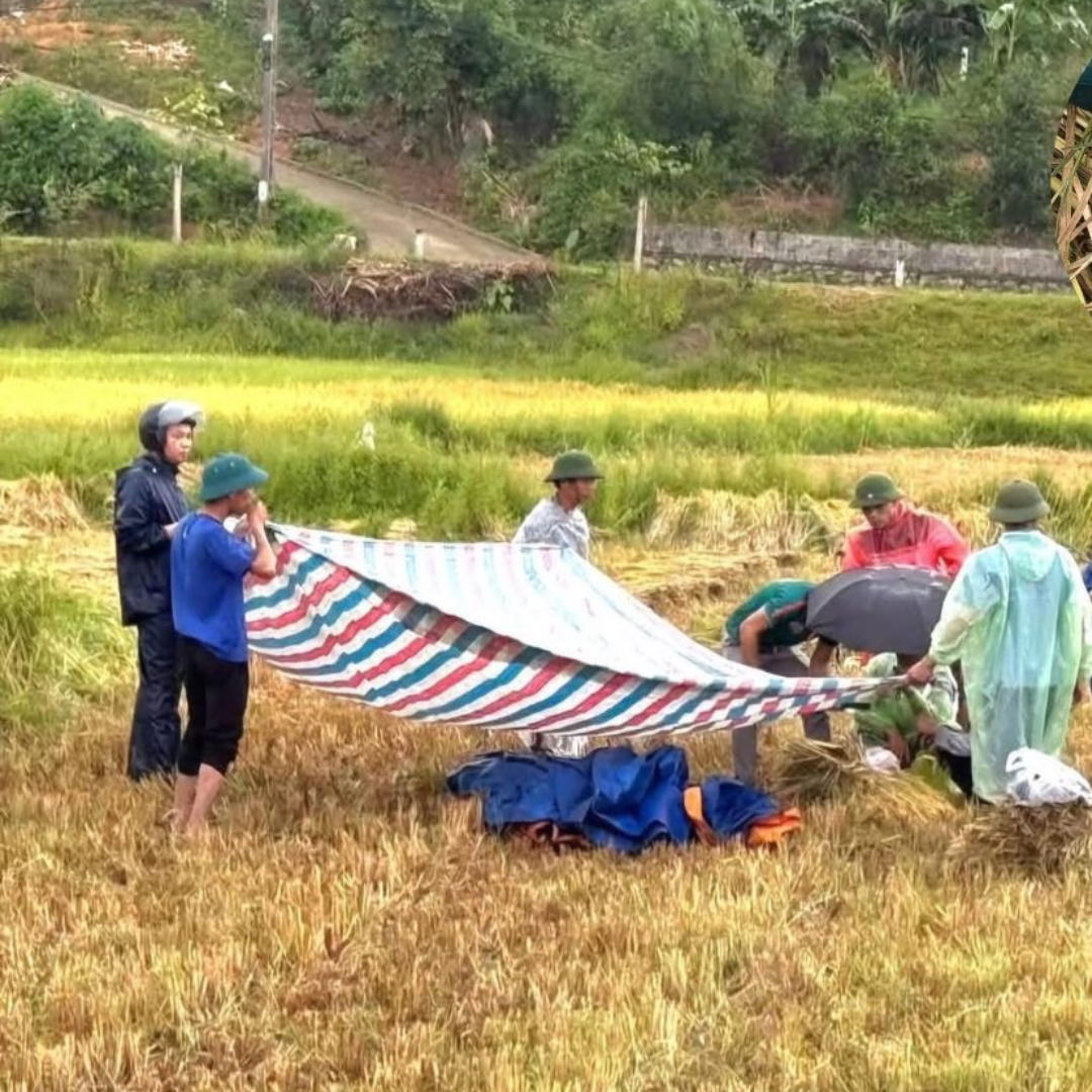Người cha Hà Tĩnh bị sét đá:nh tuvong khi lấy điện thoại xem các con về ...