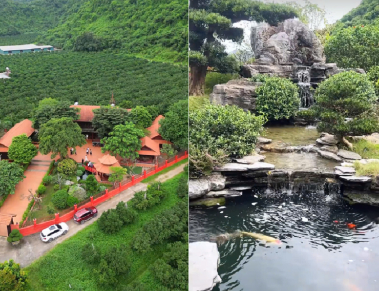 Bí ẩn về hồ cá Koi trong biệt phủ của trùm yangho Thanh Hóa Vi "n-gộ", thật kinhkhung - News